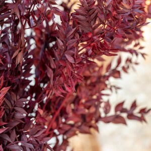 Red Preserved Ruscus, Bunch, Home Decor, Boho Wedding Decoration, Room ...