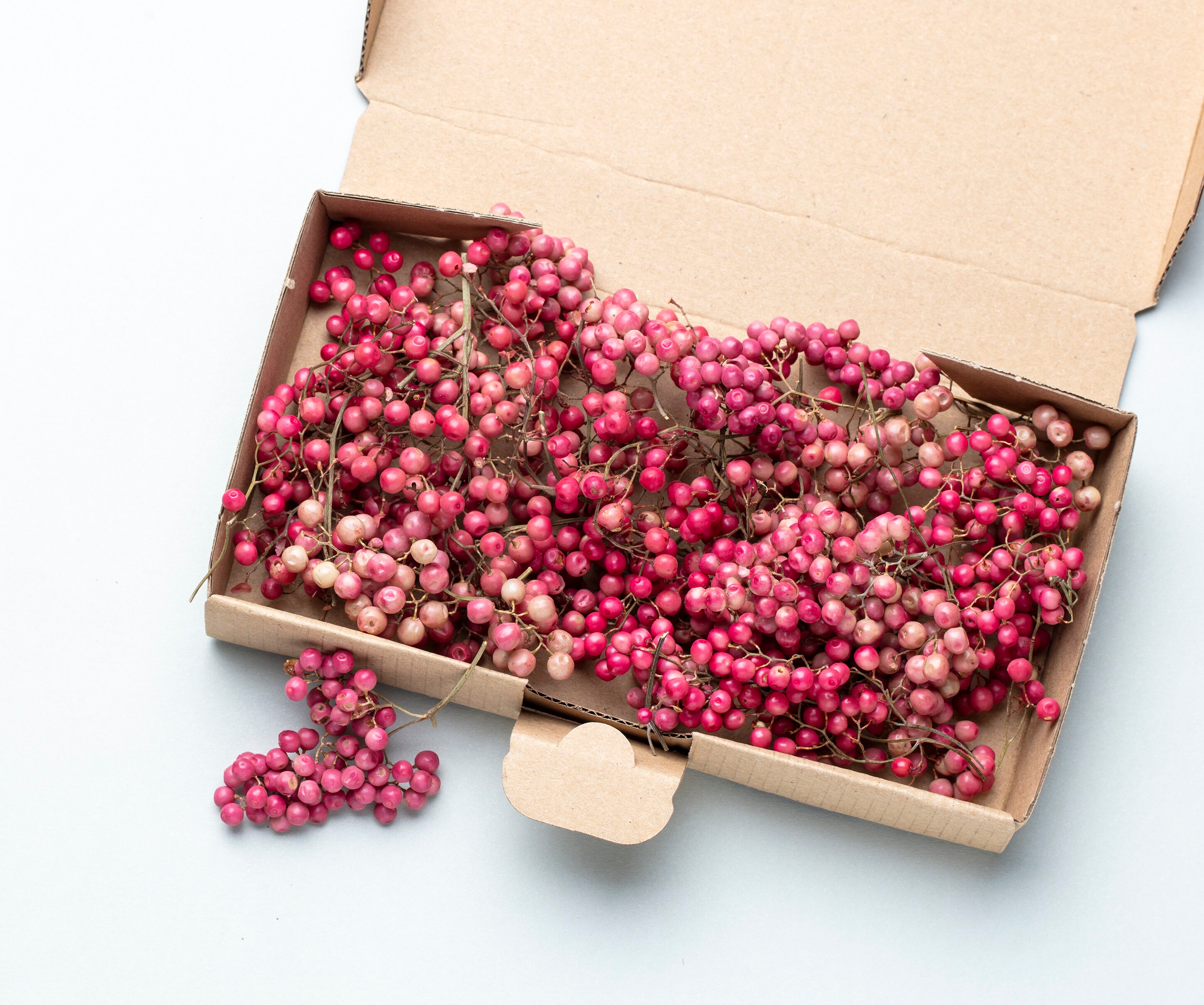 Pepper Tree, Pink Pepper Berry Stems, Dried Flowers, Dried Berries ...