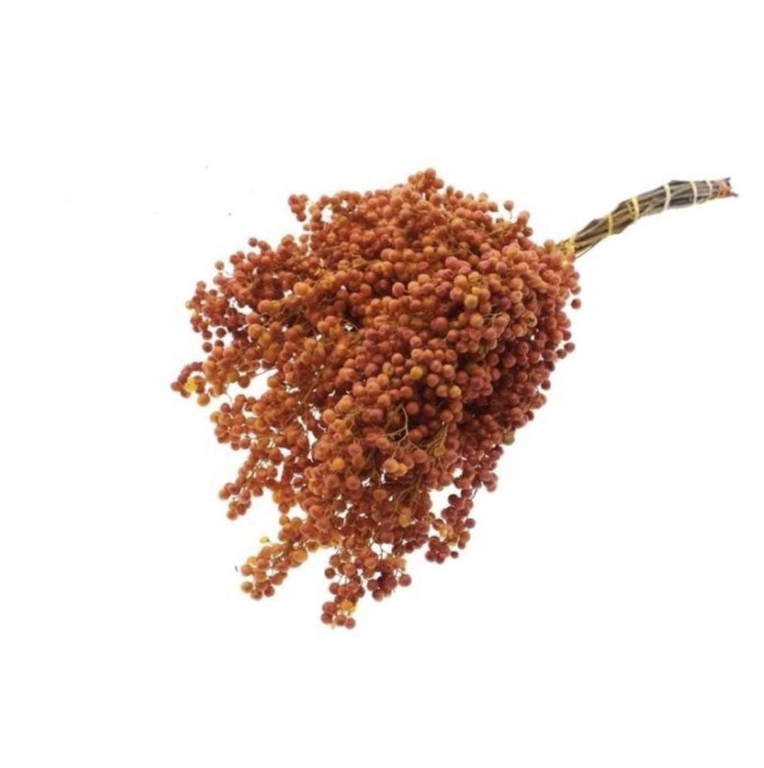 Pepper Tree, Terracotta, Pepper Berry Stems, Dried Flowers, Dried ...