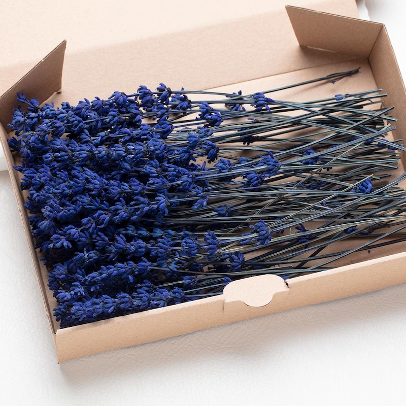 Dried Lavender - Etsy