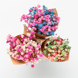 Wedding Favors, Gypsophila Flowers Baby's Breath Bouquet, Dried Flowers ...