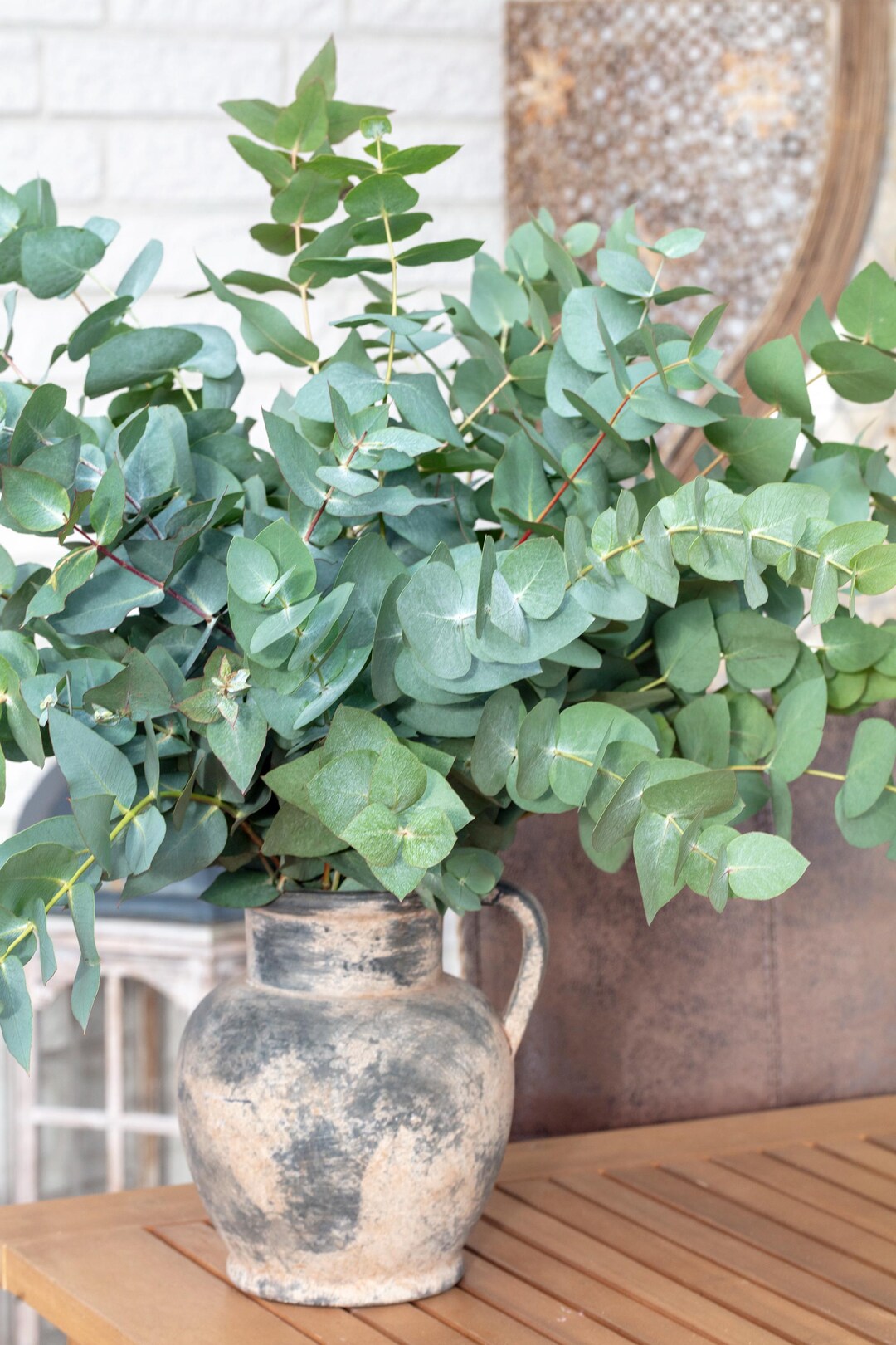 Eucalyptus, Fresh Eucalyptus, Large Bouquet, Stems, High Quality ...