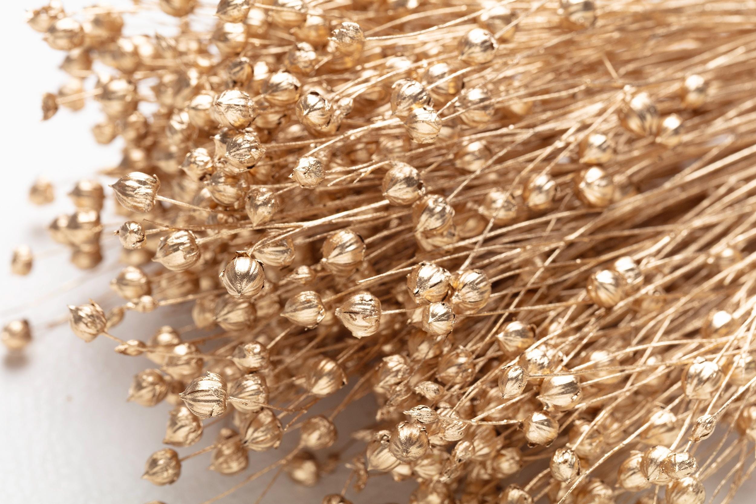 Dried Gold Linum Bunch, Dried Flax Bunch, Gold Color, Natural Dried ...