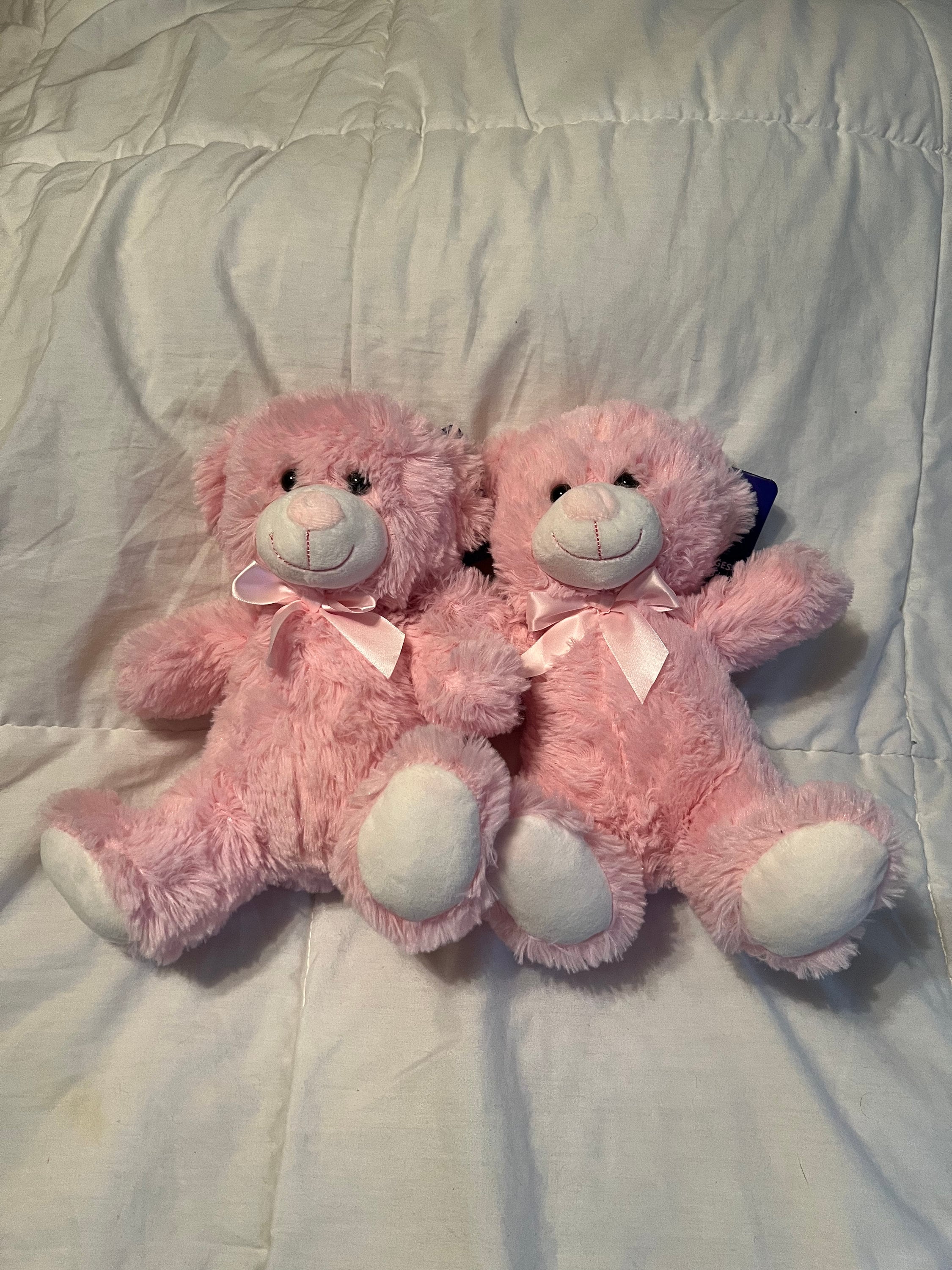 Personalized Twin Plushy Set - Etsy