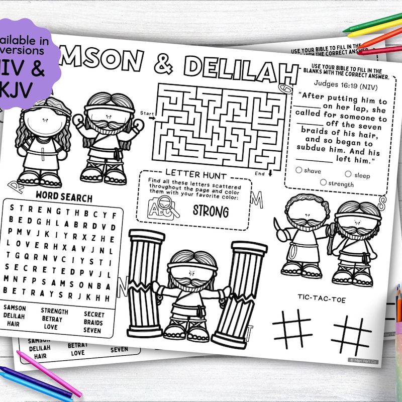 Samson Craft or Activity - Etsy