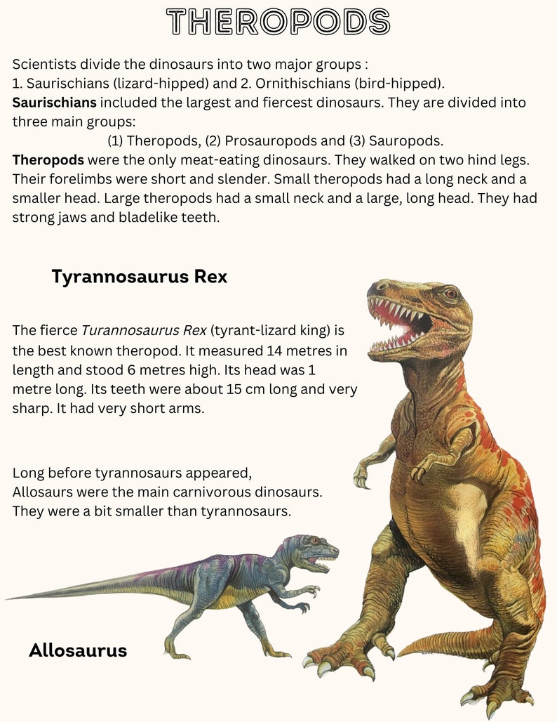Dinosaur Unit Study, Dinosaur Information and Learning, Dinosaurs Print for Nursery, Perfect ...