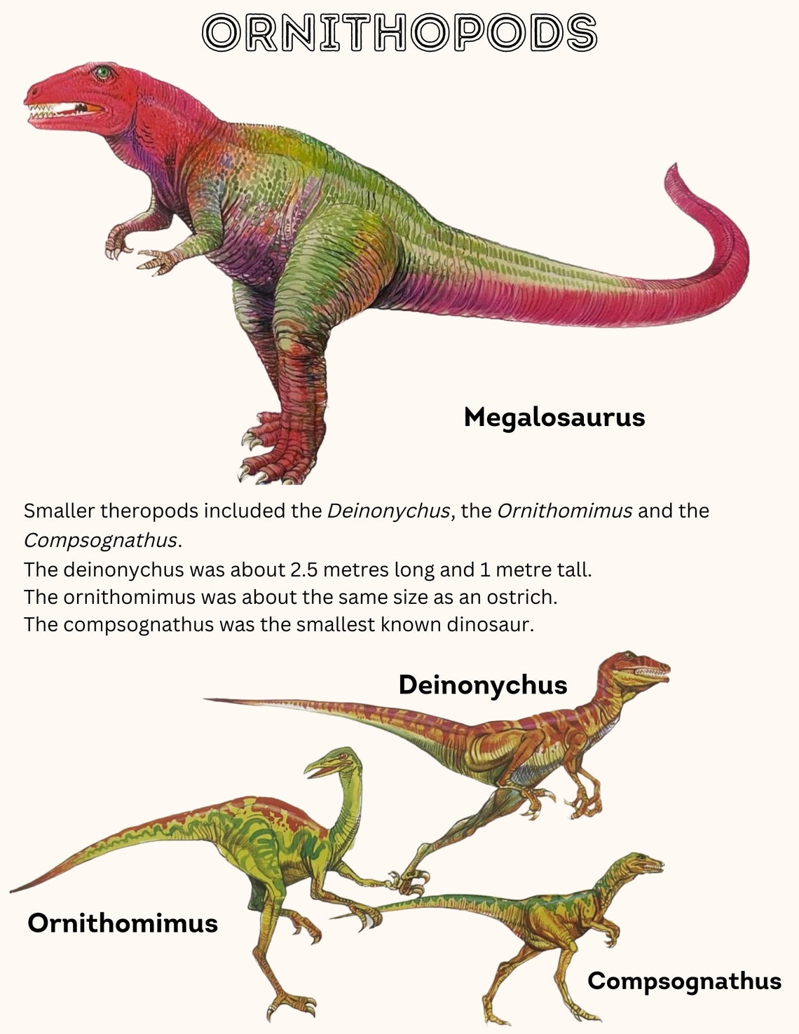 Dinosaur Unit Study, Dinosaur Information and Learning, Dinosaurs Print ...
