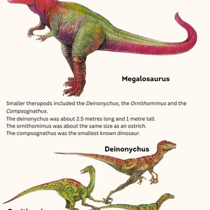 Dinosaur Unit Study, Dinosaur Information and Learning, Dinosaurs Print ...