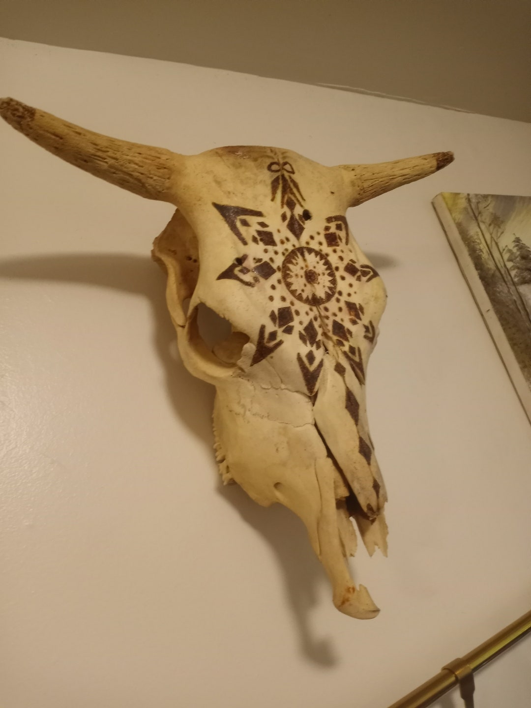 Bull Skull Mandela - Etsy