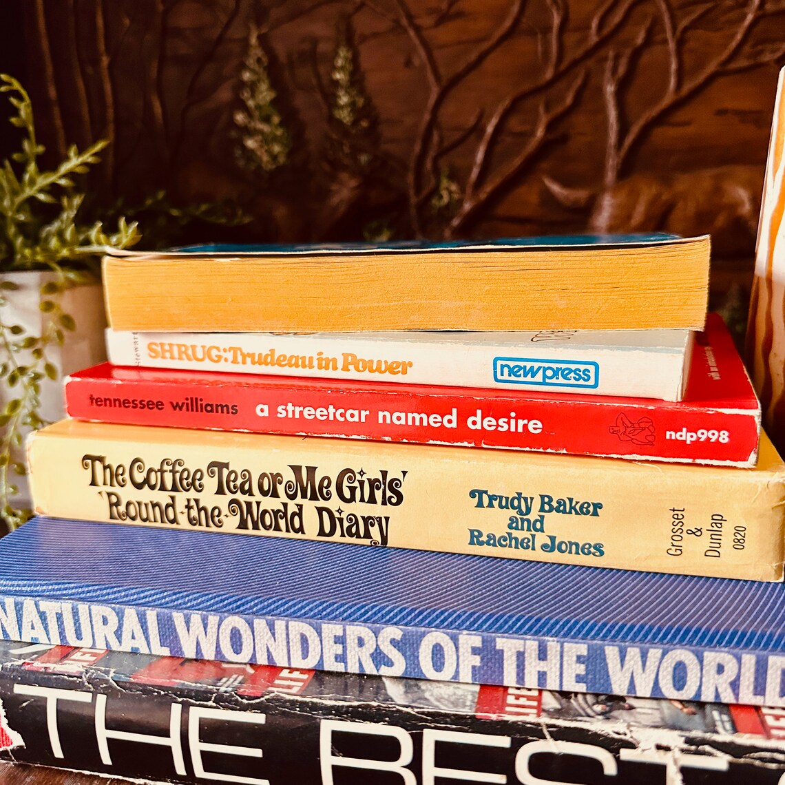 Vintage 1960s Book When She Was Good by Philip Roth - Etsy