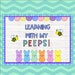 April Bulletin Board, Spring Classroom Décor, Peeps Bulletin Board ...