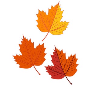 Fall Pumpkins Classroom Decor, Bulletin Board Kit, Classroom Posters ...