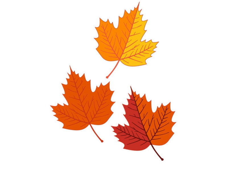 Fall Pumpkins Classroom Decor, Bulletin Board Kit, Classroom Posters ...