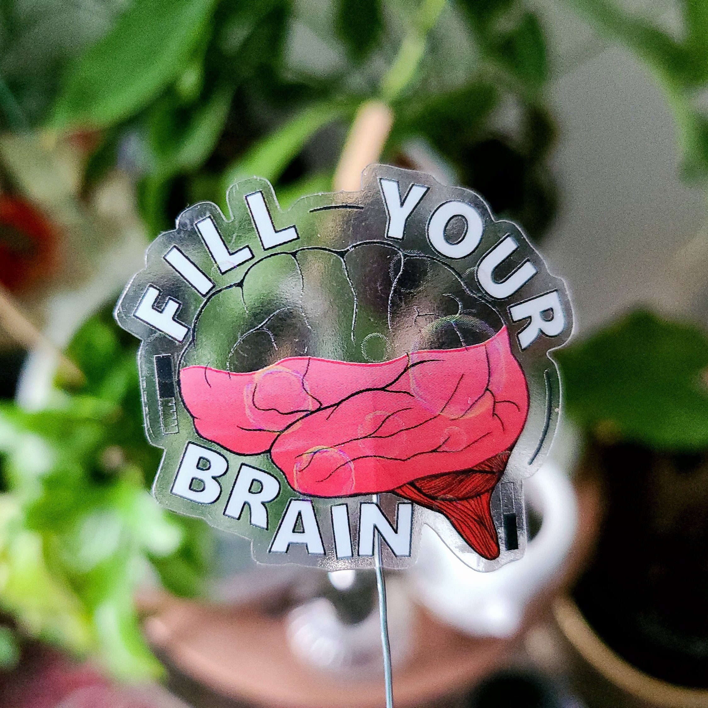 Fill Your Brain Clear Brain Science Sticker Anatomy Science Decal for ...