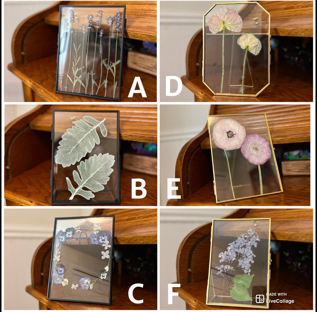 Pressed Flowers in Floating Glass Frames, Pressed Flowers, Flower Gift ...
