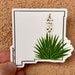 New Mexico Sticker, Yucca Sticker - Etsy