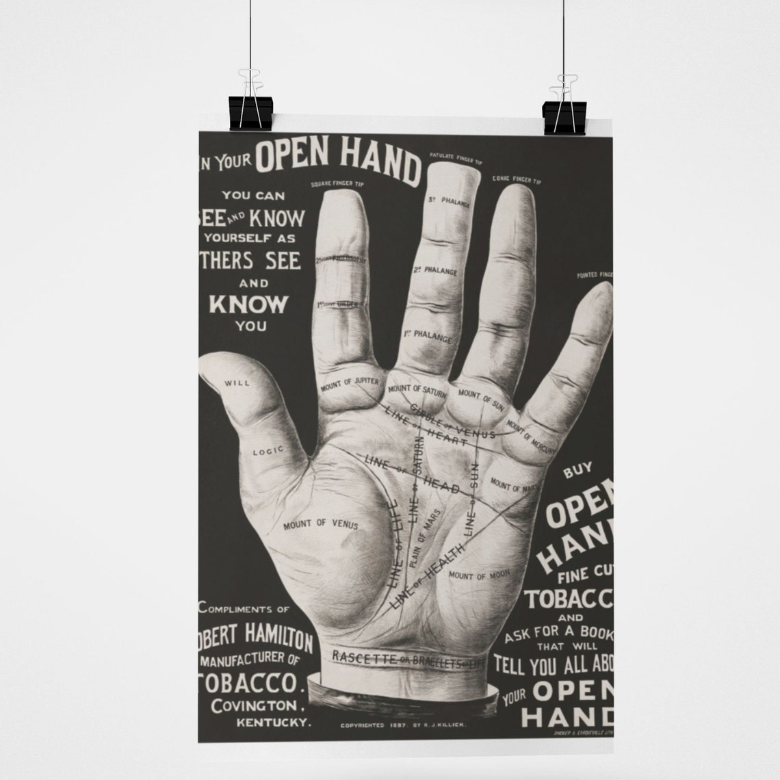 Open Hand-palmistry Hand Art Print-vintage-fortune Telling-palm Reading ...