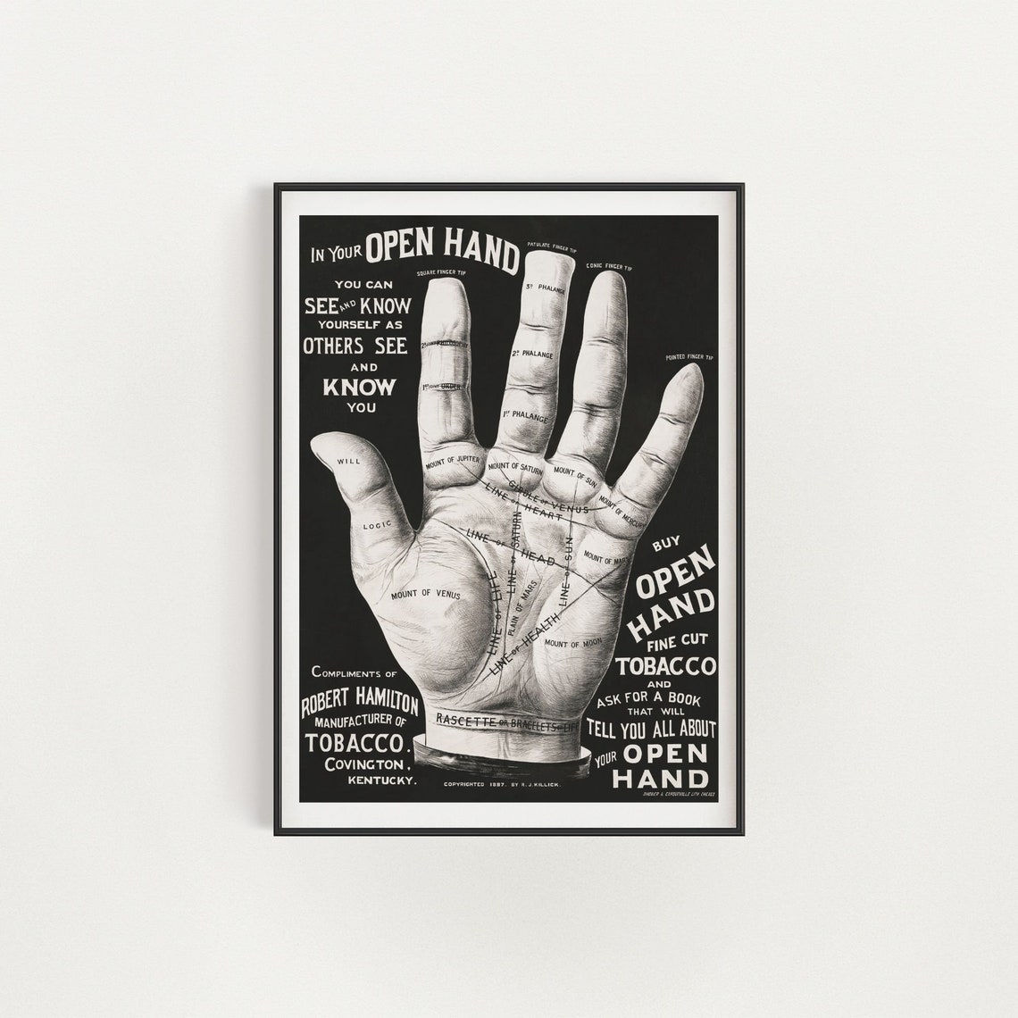 Open Hand-palmistry Hand Art Print-vintage-fortune Telling-palm Reading ...