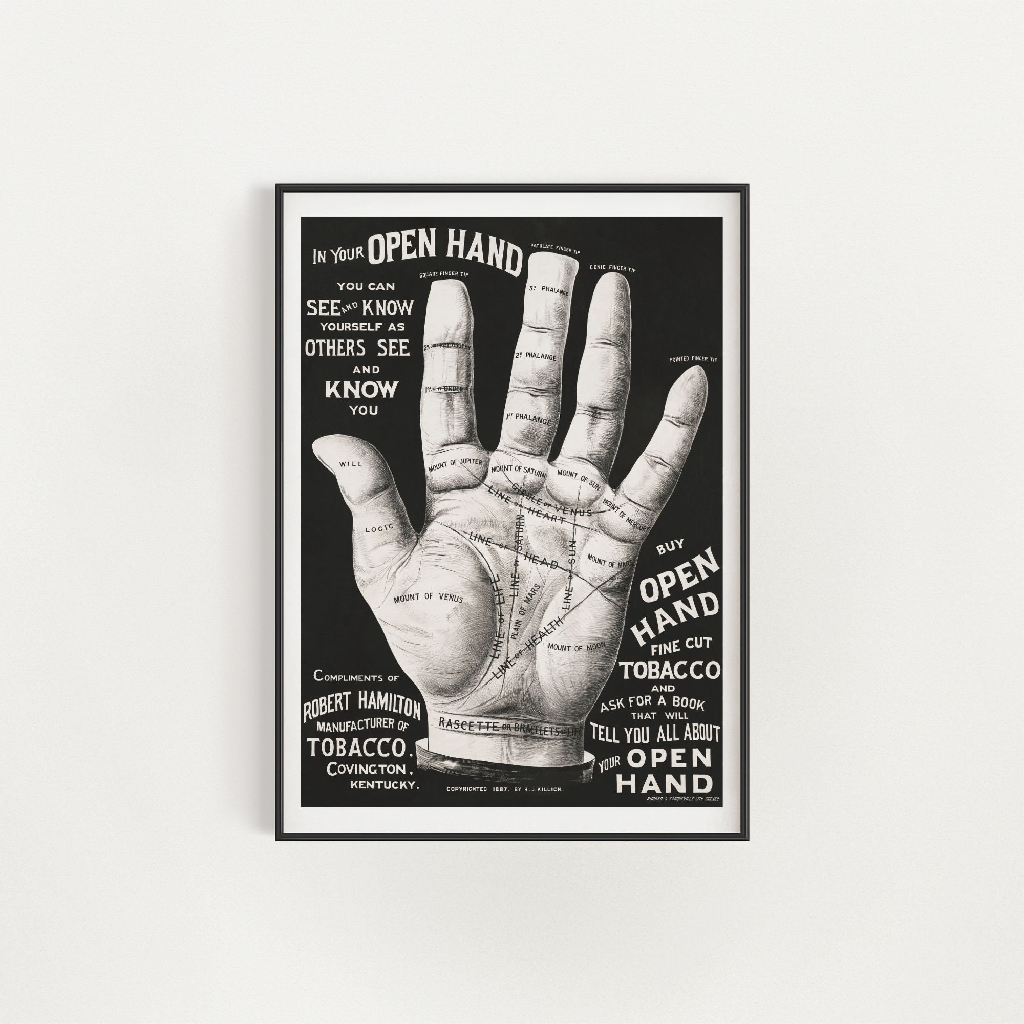 Open Hand-palmistry Hand Art Print-vintage-fortune Telling-palm Reading ...