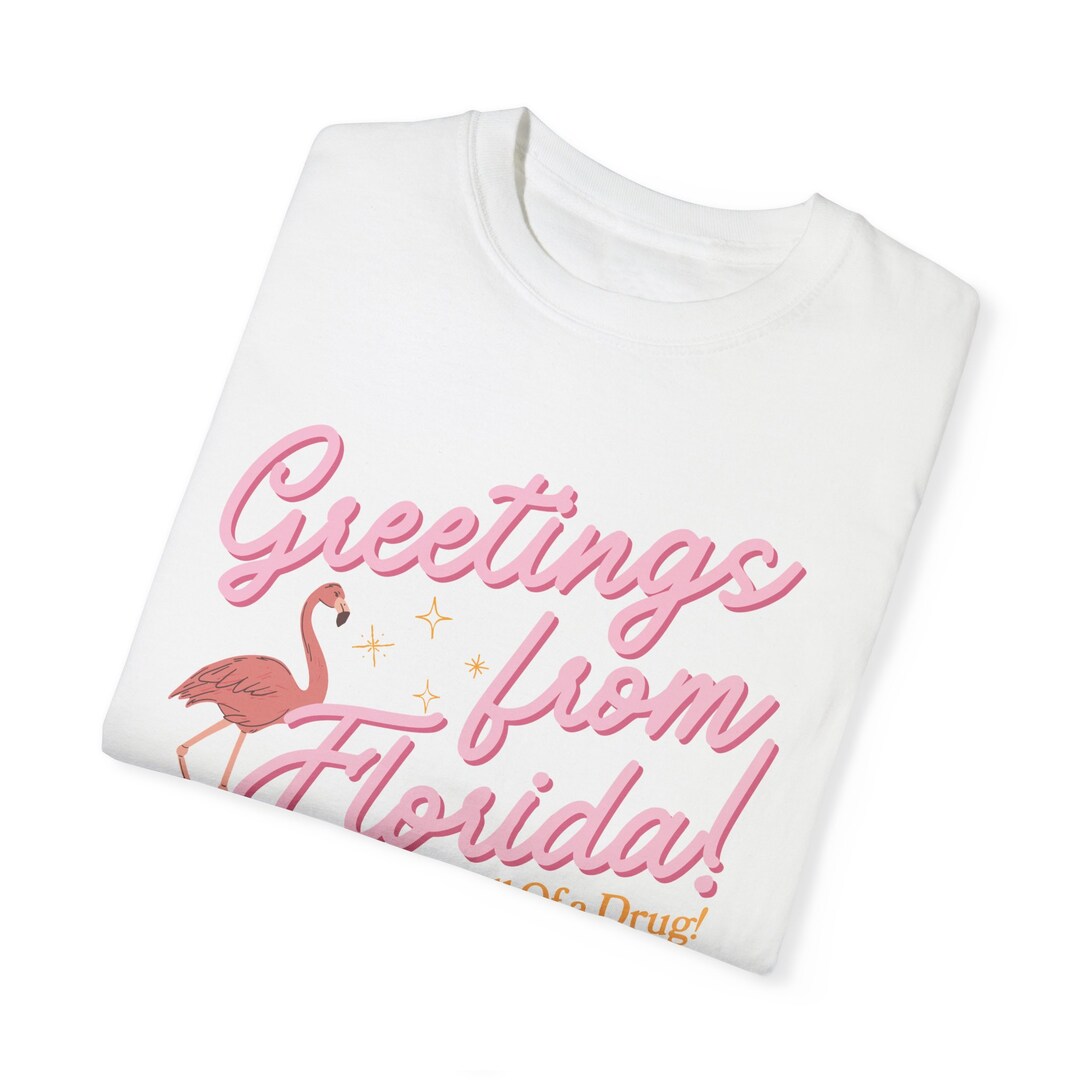 Greetings From Florida! It's One Hell of a Drug Flamingo Lyric Tee ...
