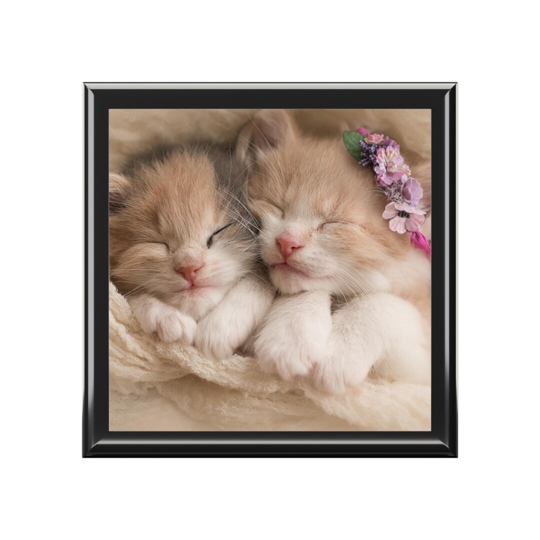 Golden Oak Copy of Jewelry Box, Keepsake Box, Kitten Jewelry Box ...