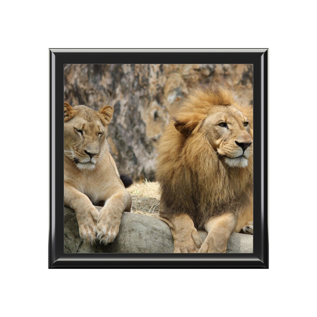 Jewelry Box, Keepsake Box, Lion Jewelry Box, Animal Jewelry Box, Unique ...