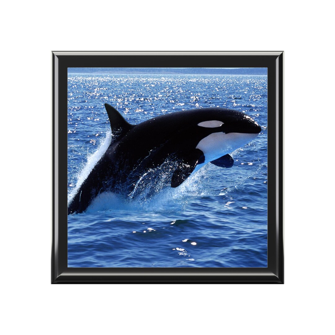 Jewelry Box, Keepsake Box, Whale Jewelry Box, Animal Jewelry Box ...