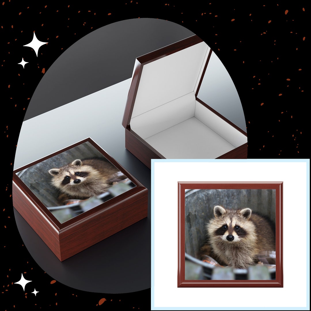 Jewelry Box, Keepsake Box, Racoon Jewelry Box, Animal Jewelry Box ...