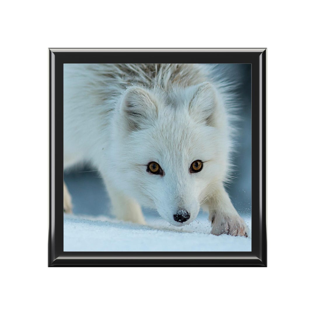Jewelry Box, Artic Fox , Animal Jewelry Box, Unique Animal Jewelry ...