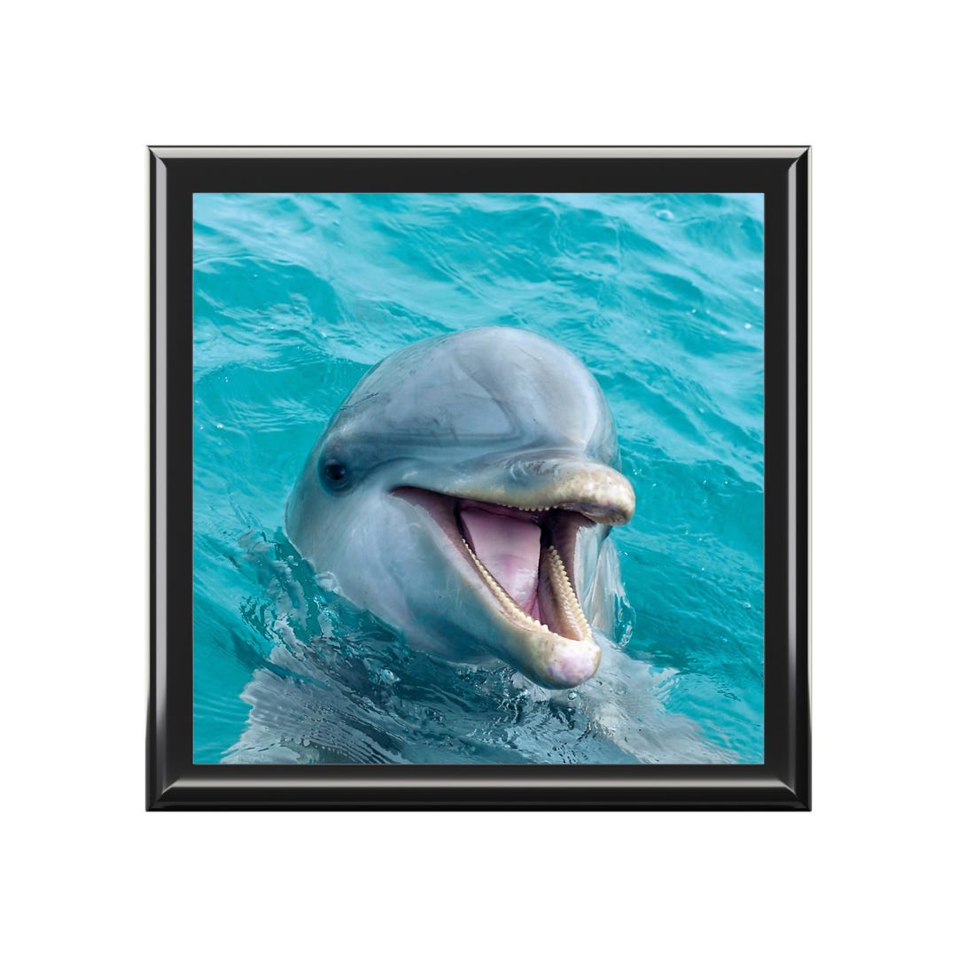 Jewelry Box, Dolphin Jewelry Box, Animal Jewelry Box, Unique Animal ...