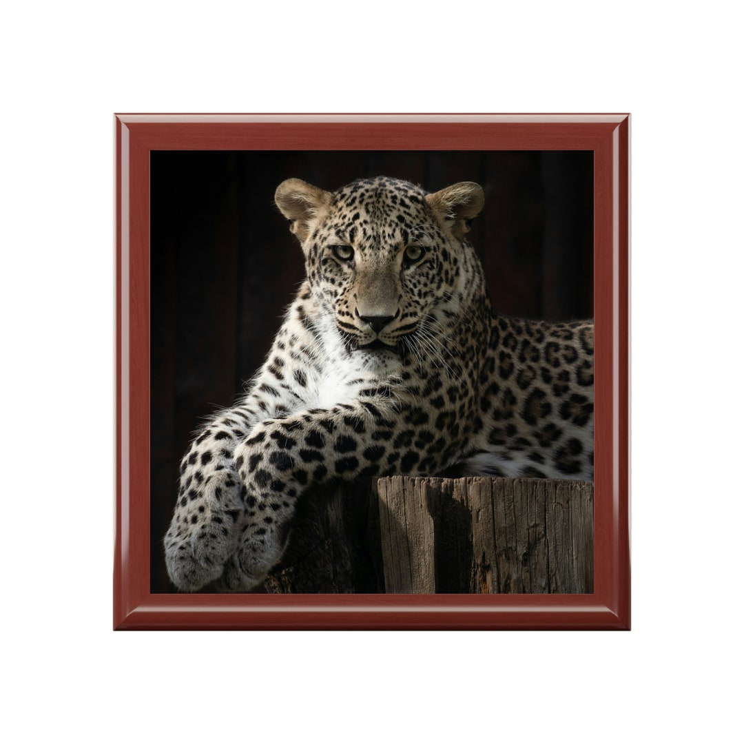 Jewelry Box Keepsake Box Leopard Jewelry Box Animal Jewelry - Etsy