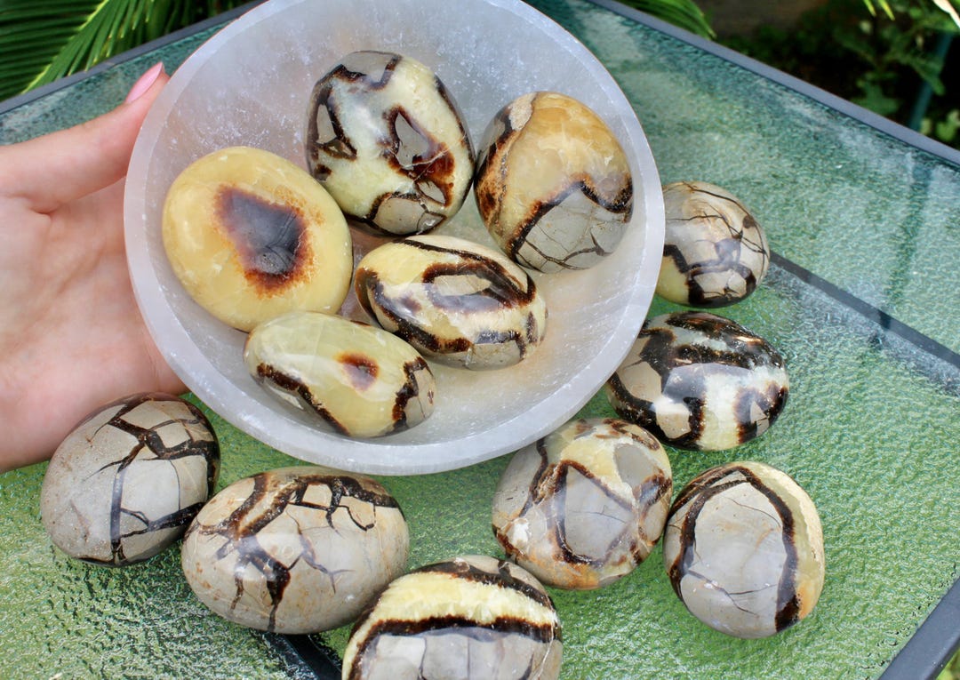 Septarian Nodule Palmstones - Calcite and Aragonite Limestone Nodules ...