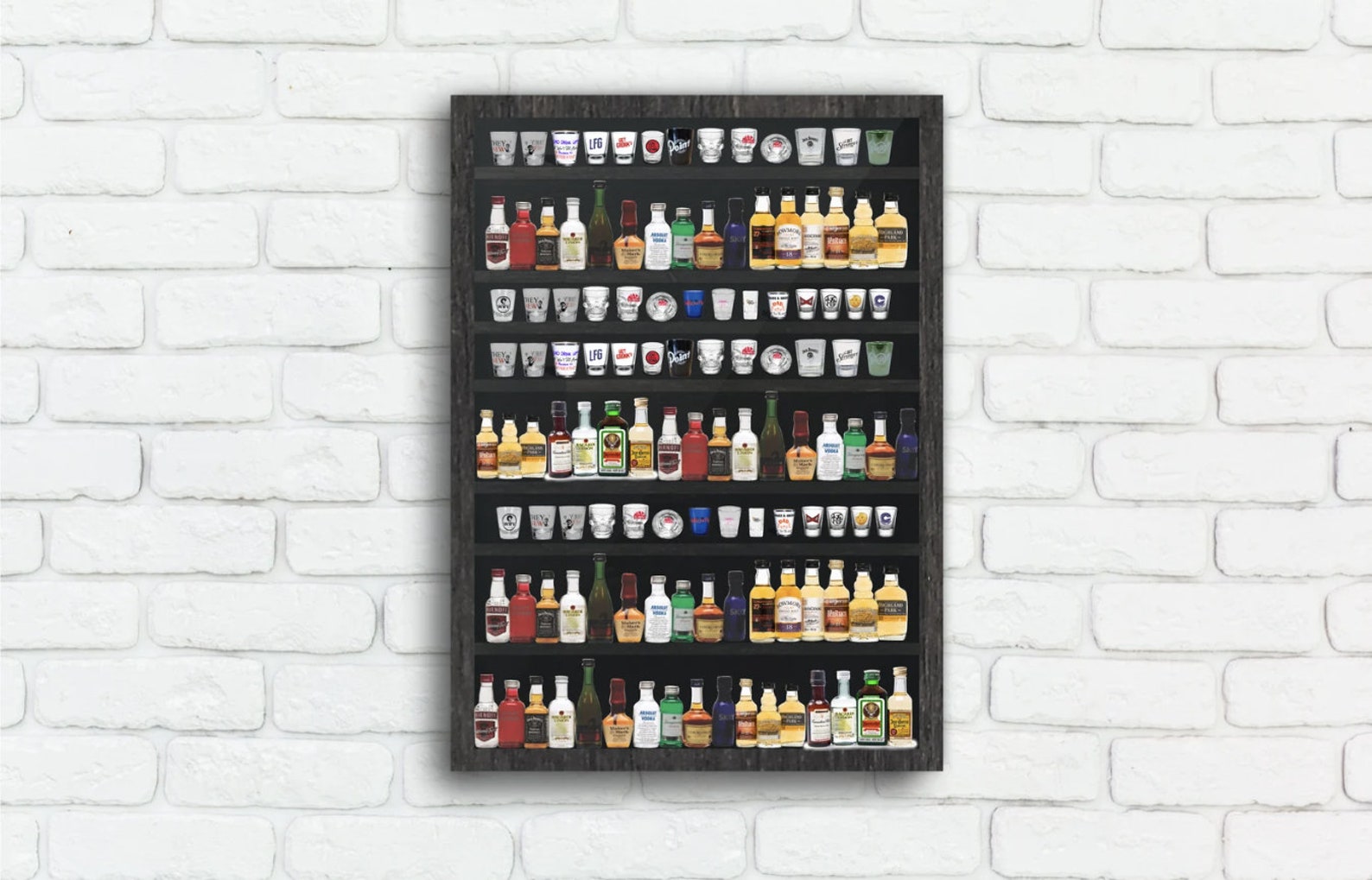 Shot Glass Display Case With Door Display Case for Shot Glass - Etsy