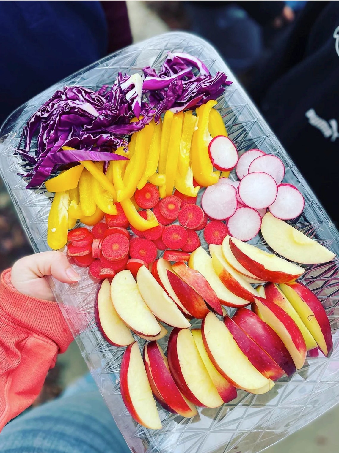 Eat the Rainbow! Activity Sheet | Nutrition Worksheet | Myplate ...