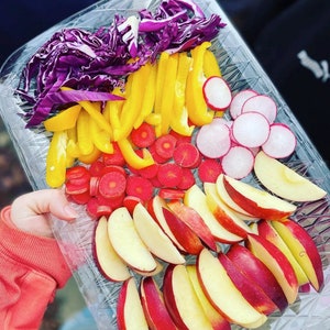 Eat the Rainbow! Activity Sheet | Nutrition Worksheet | Myplate ...