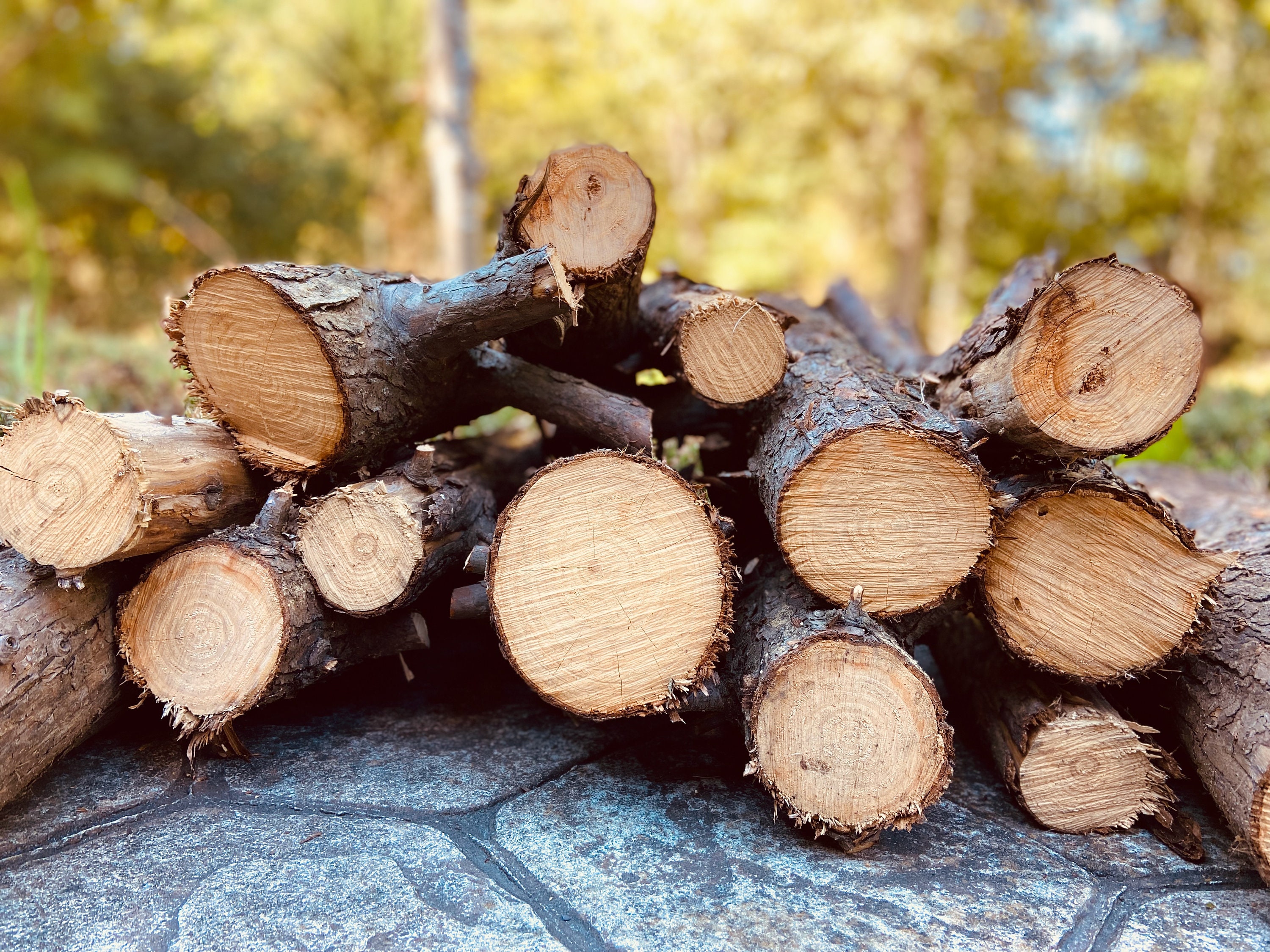 Nature Photo, Digital Download, DIY Prints, Logs, Printable Wall Art ...