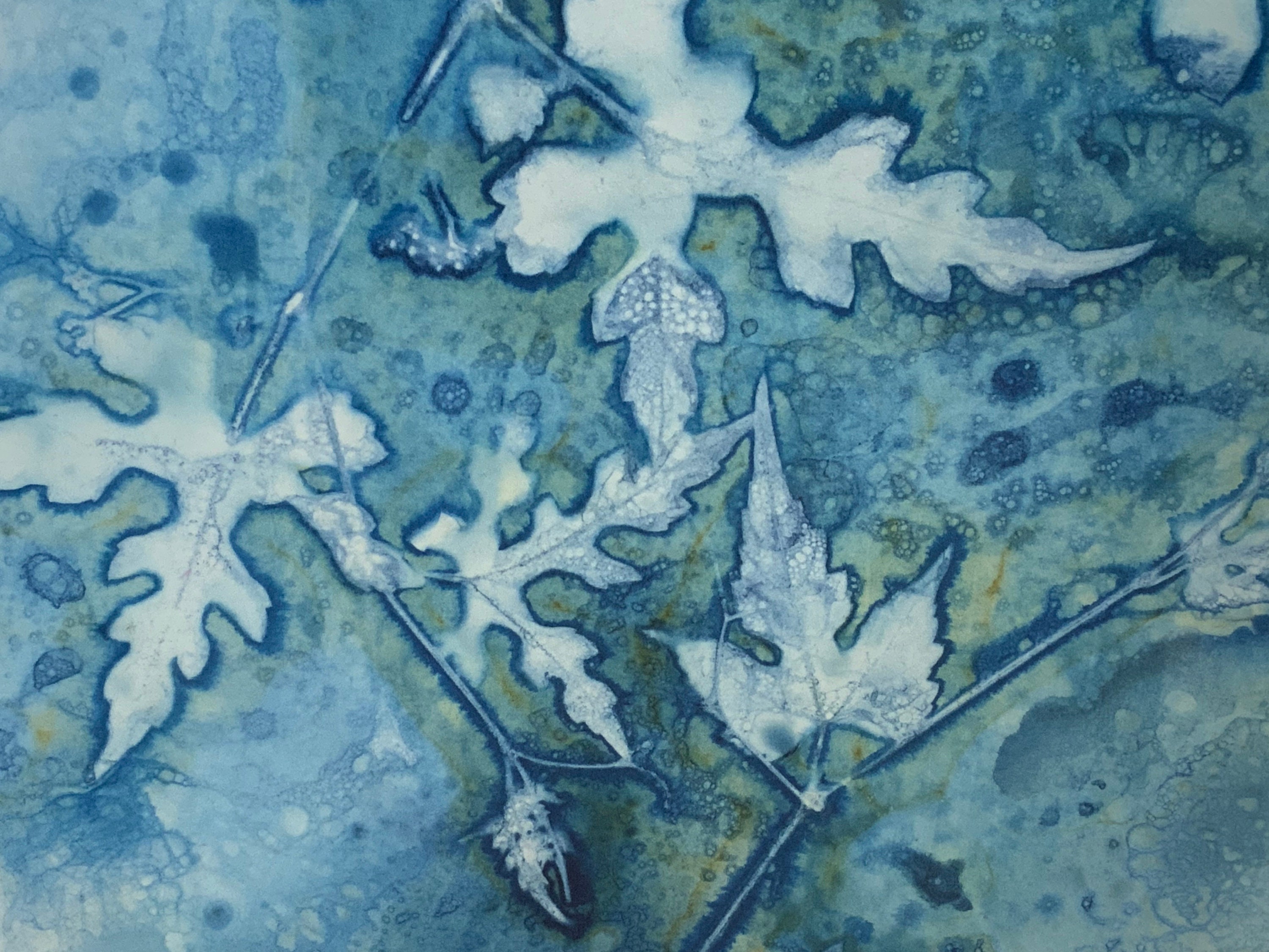 Blue in 22 Series 1 Cyanotype Art Blueprint Sun Print - Etsy