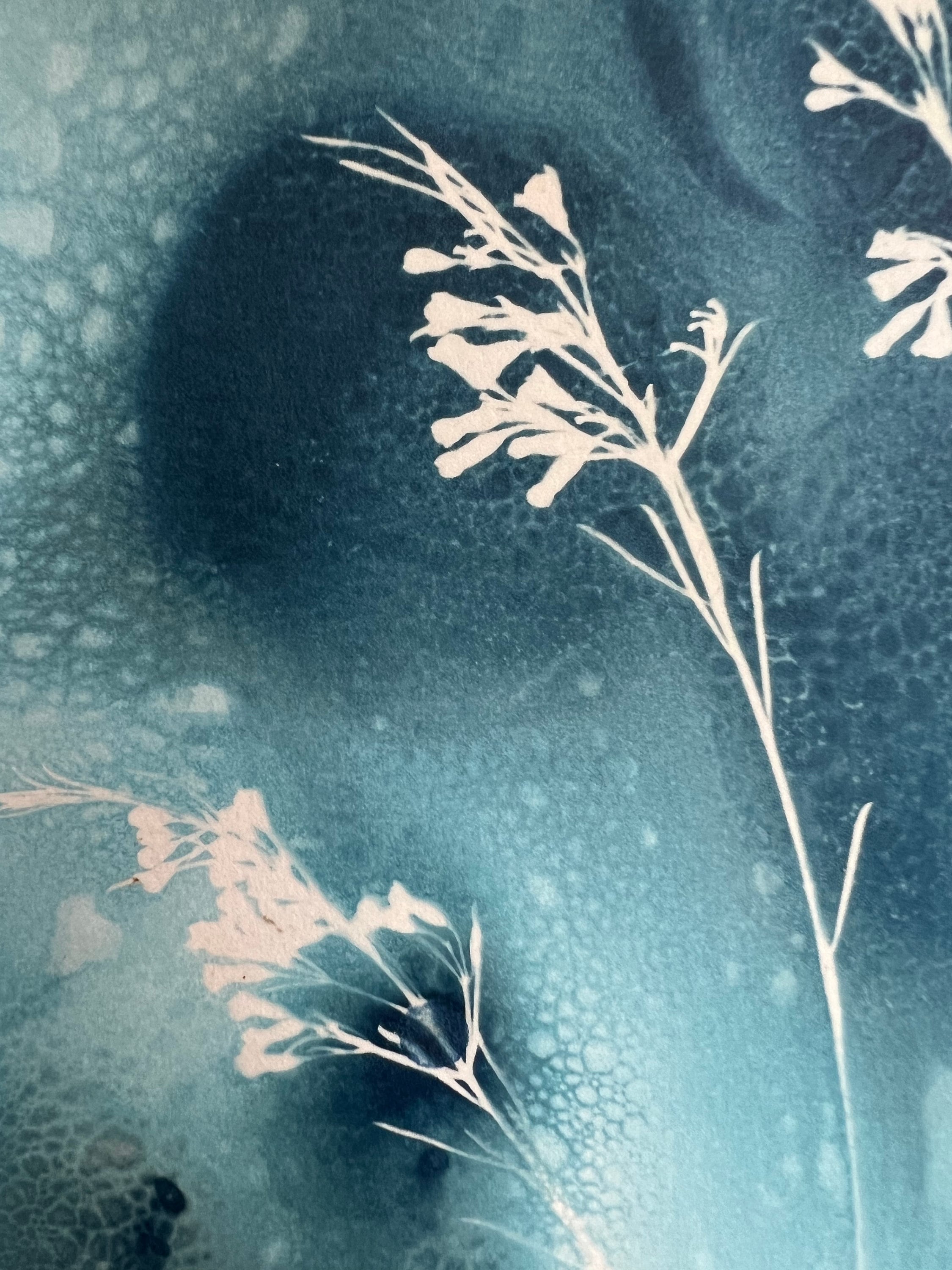 Brushed in Blue 3 Cyanotype, Alternative Photography, 11 X 14 ...