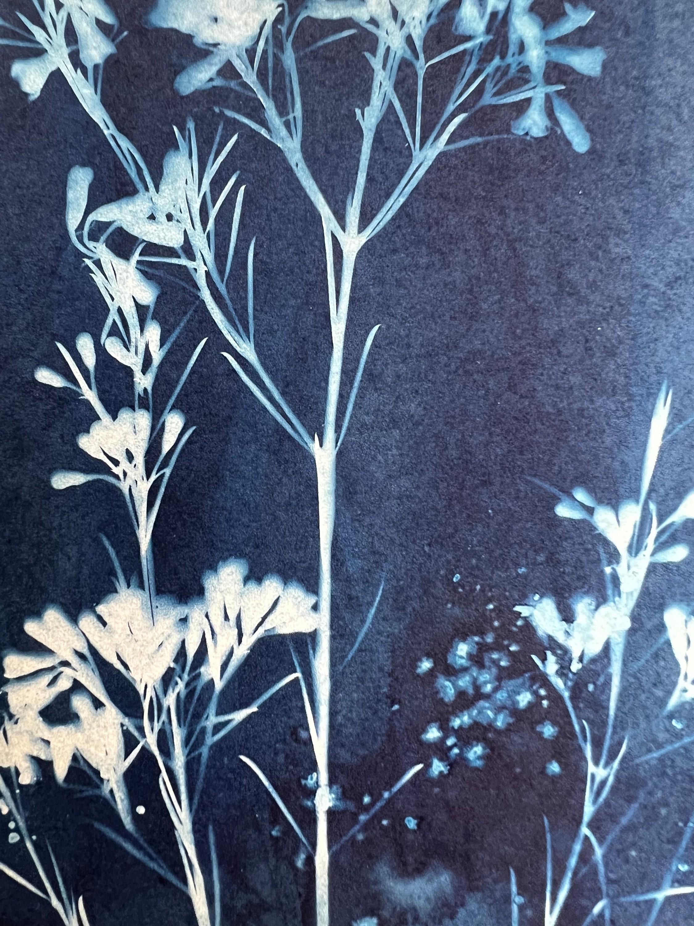 Brushed in Blue #4- Cyanotype, 11 X 14, Blueprint, Sun Print ...