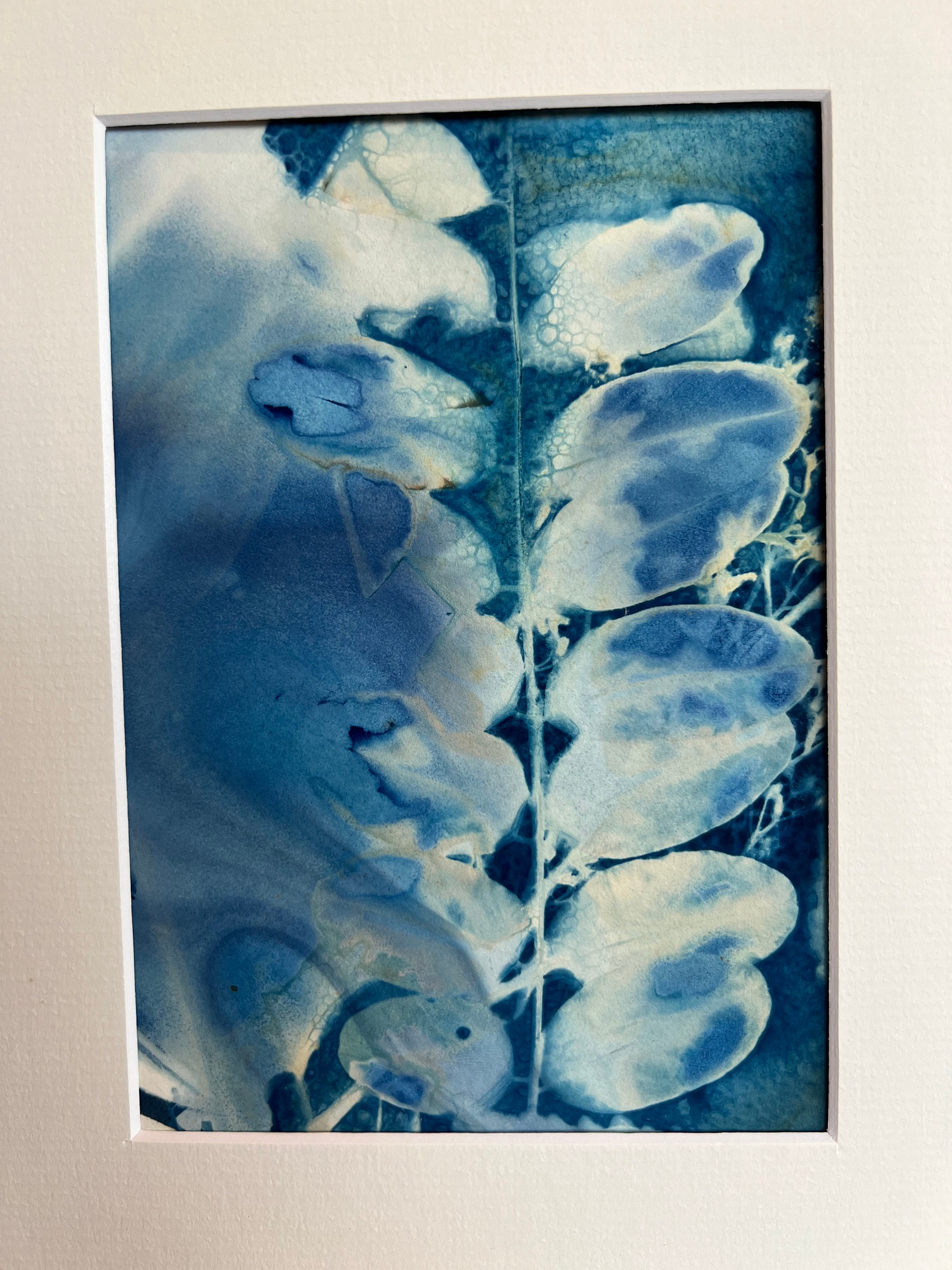 Cyanotype- 8 X 10, Ready to Frame, Photography Print, Blueprint, Sun ...