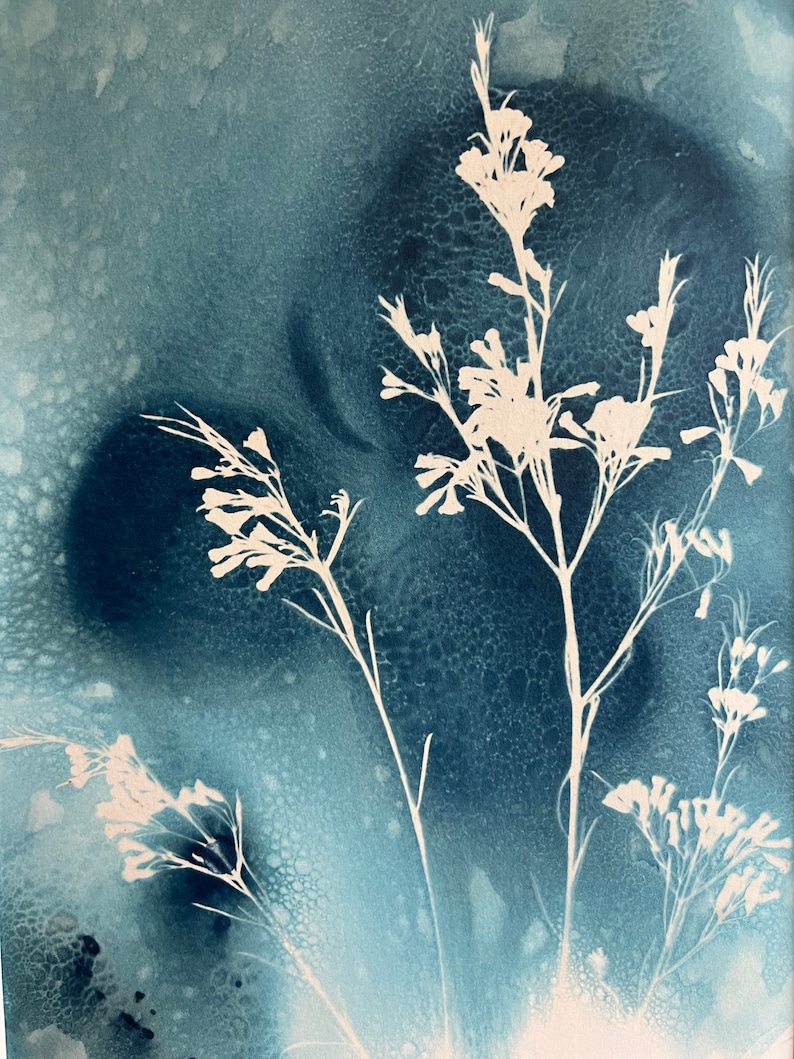 Brushed in Blue #3- Cyanotype, Alternative Photography, 11 X 14 ...