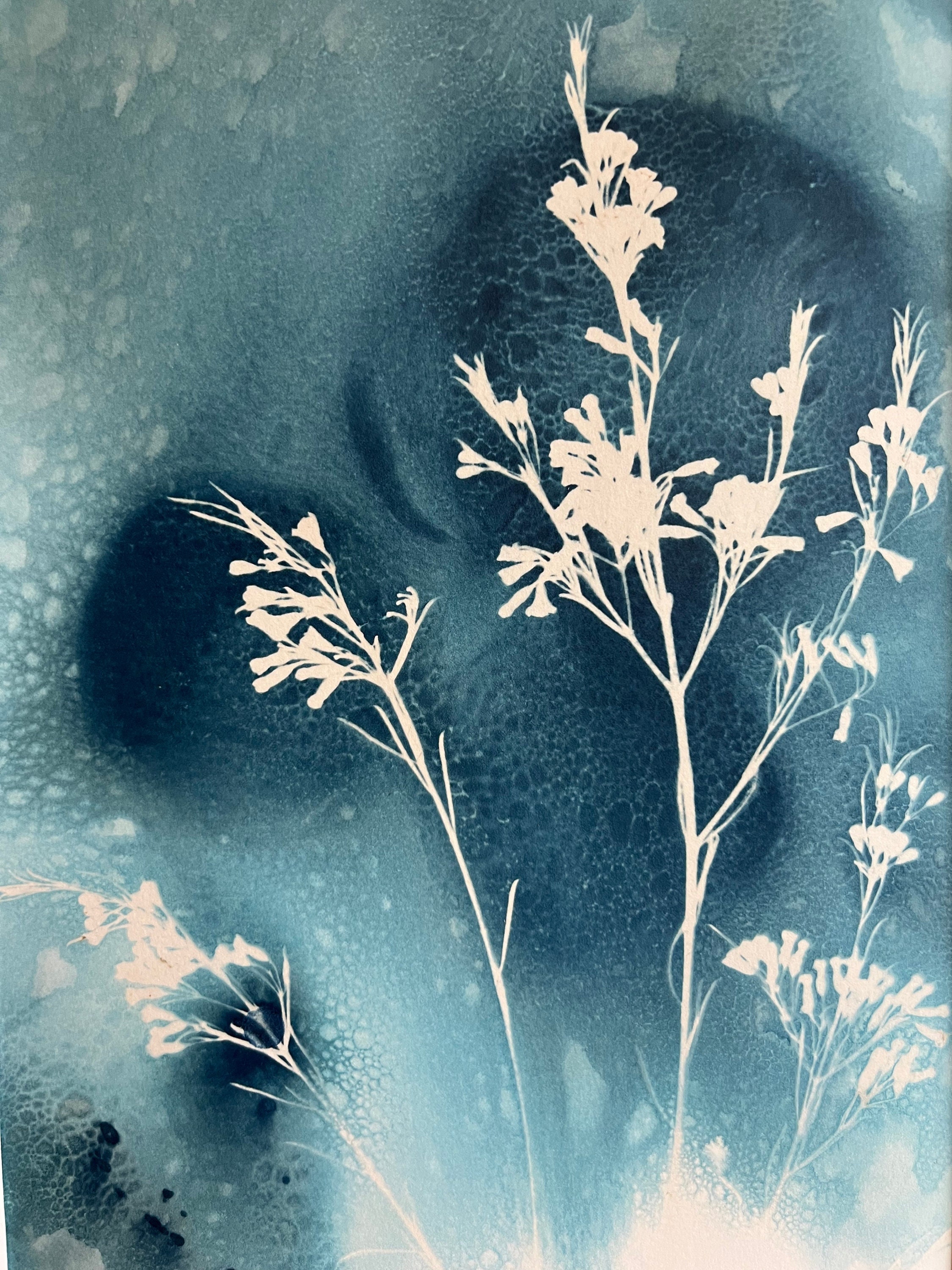 Brushed in Blue 3 Cyanotype, Alternative Photography, 11 X 14 ...