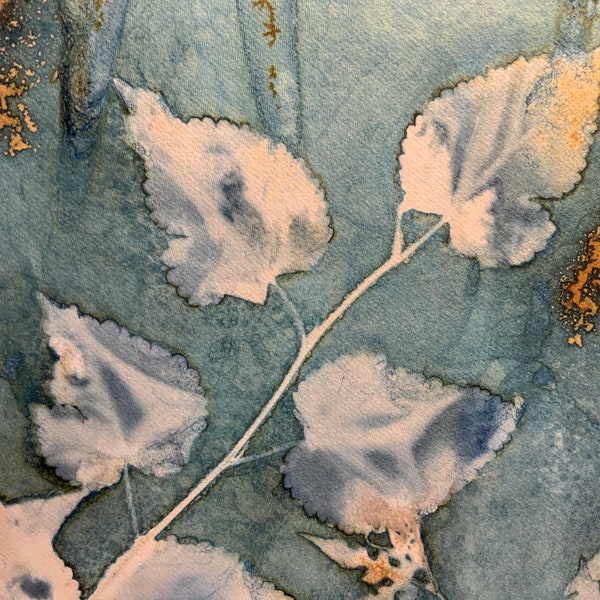 Cyanotype Print - Etsy