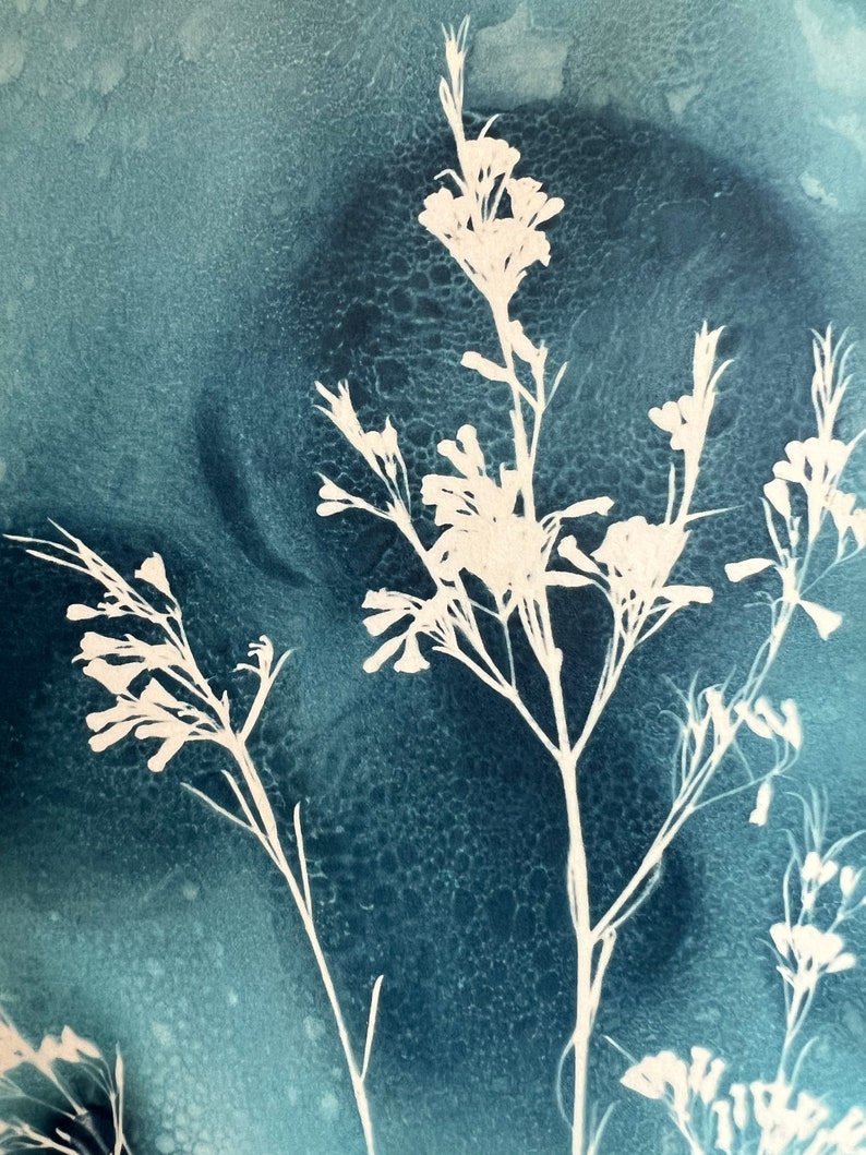Brushed in Blue #3- Cyanotype, Alternative Photography, 11 X 14 ...