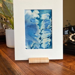 Cyanotype- 8 X 10, Ready to Frame, Photography Print, Blueprint, Sun ...