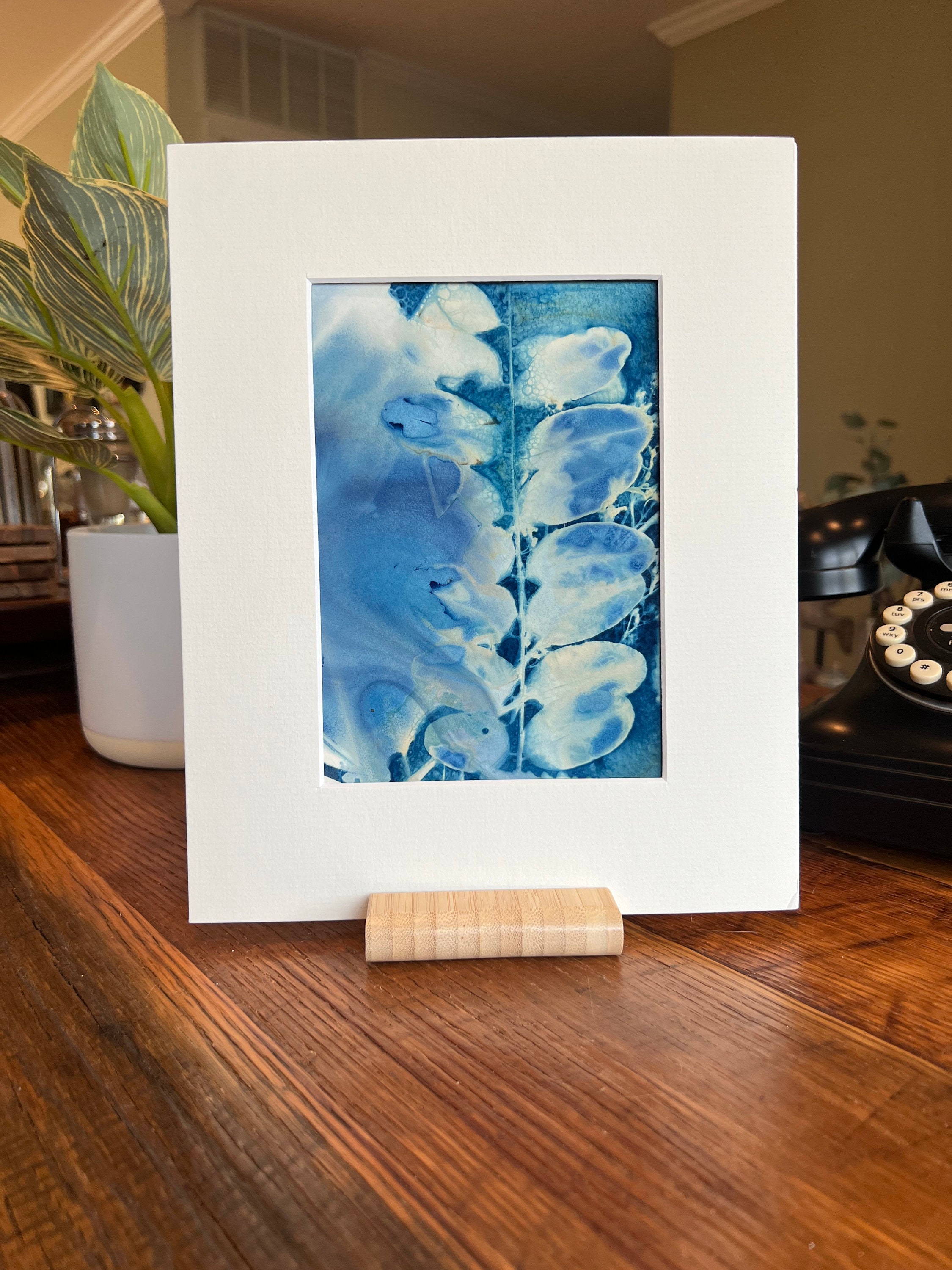 Cyanotype- 8 X 10, Ready to Frame, Photography Print, Blueprint, Sun ...