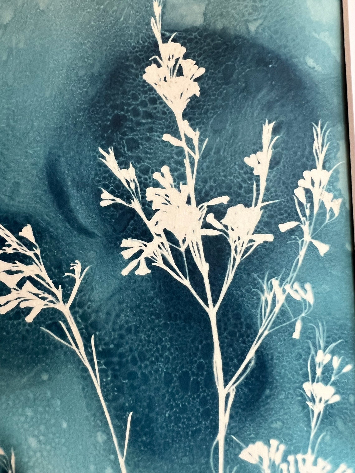 Brushed in Blue 3 Cyanotype, Alternative Photography, 11 X 14 ...