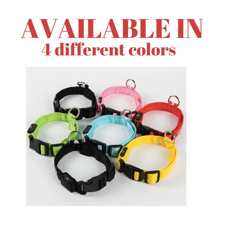 LED Collar for Dogs Light Adjustable Glowing Dog Collars, USB ...