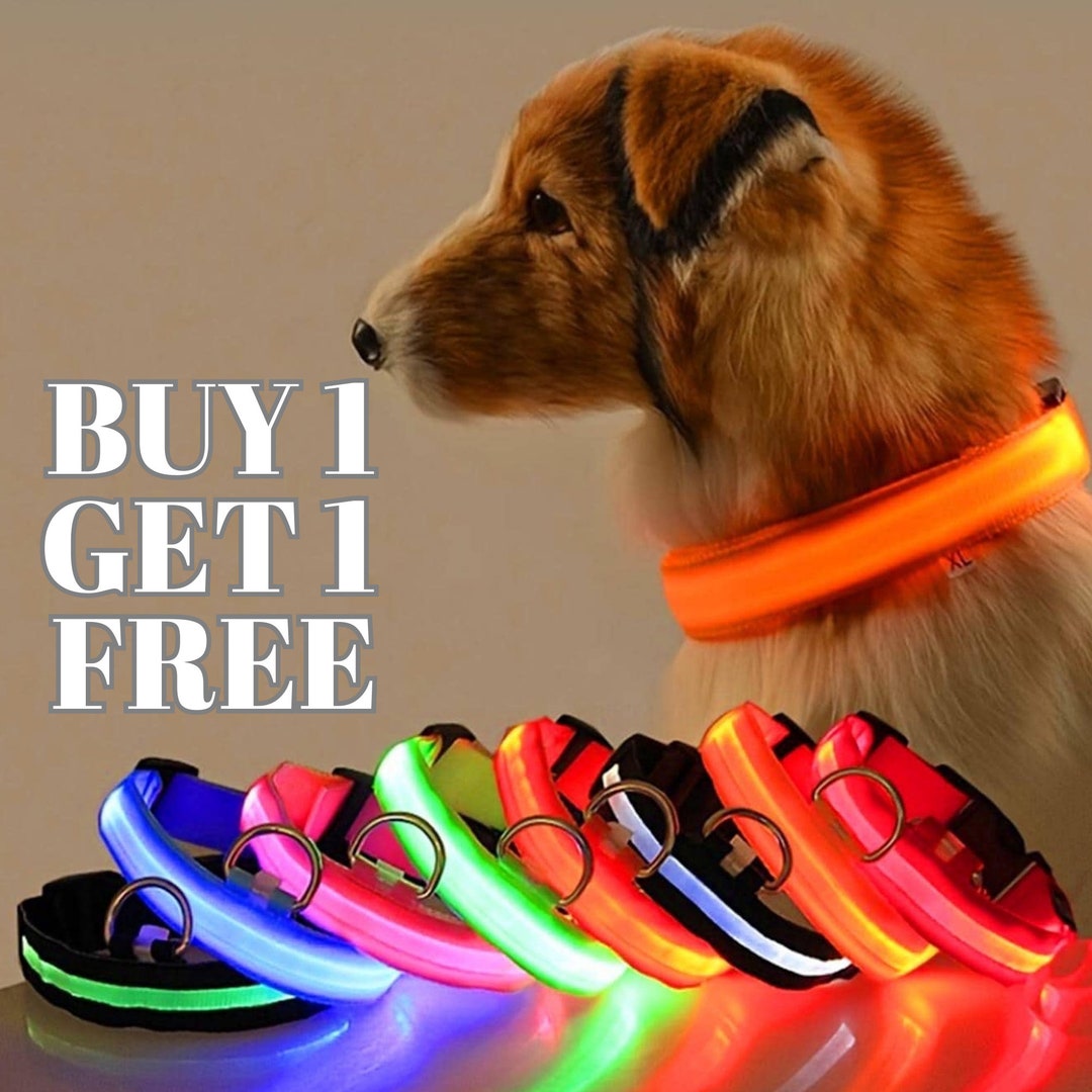 LED Collar for Dogs Light Adjustable Glowing Dog Collars, USB ...