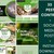 PEST CONTROL Quotation Template | Service Treatment Notice | Pest ...